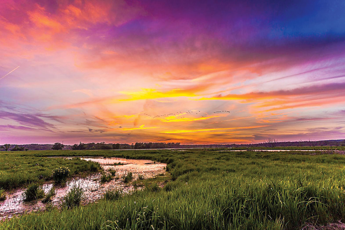 Watershed Winners | News, Sports, Jobs - Times Observer